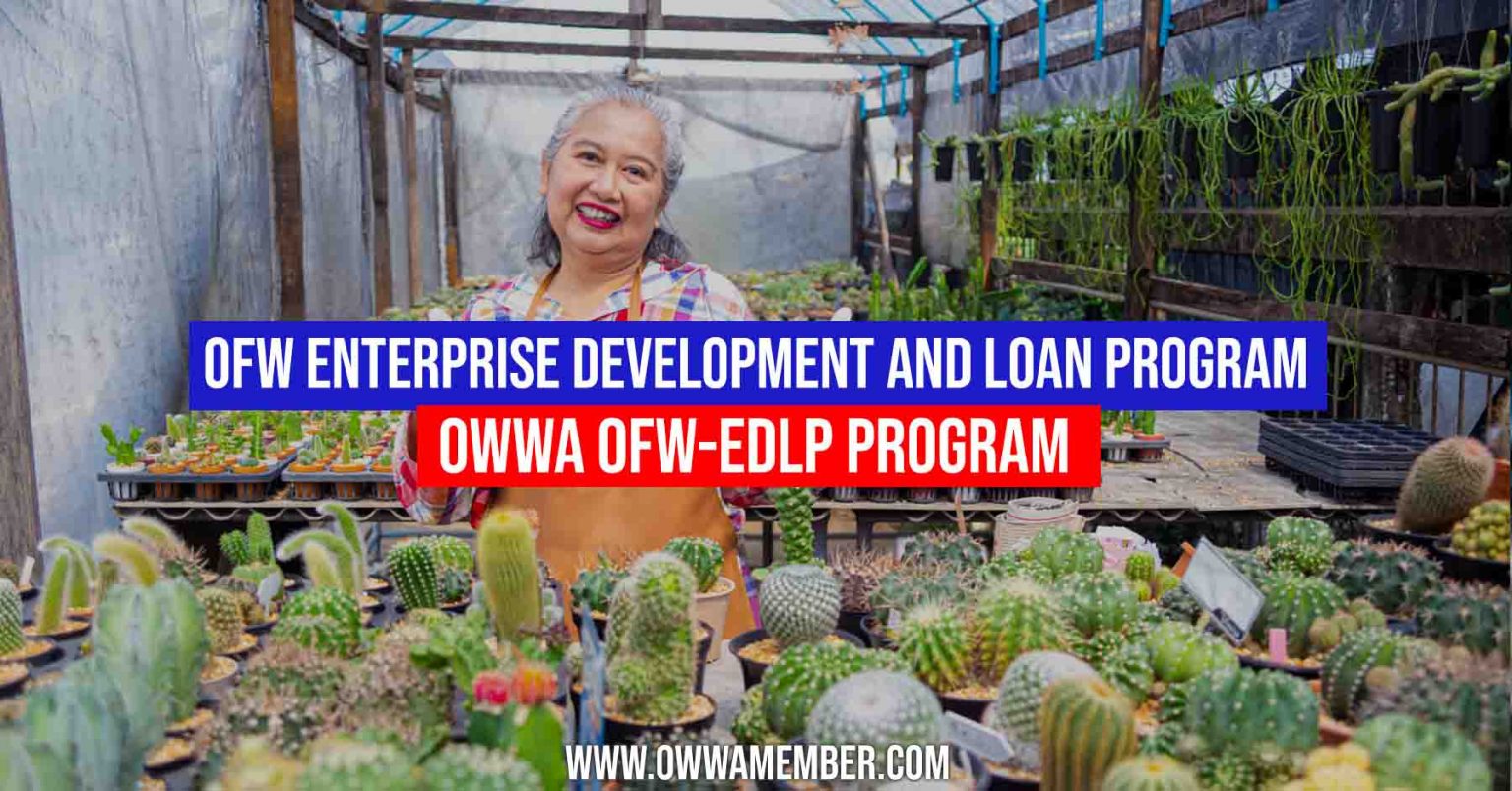 How to Apply OFW Enterprise Development and Loan Program (OFW-EDLP) | OWWA Member