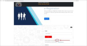 Understanding Balik Manggagawa (Returning OFW) | OWWA Member
